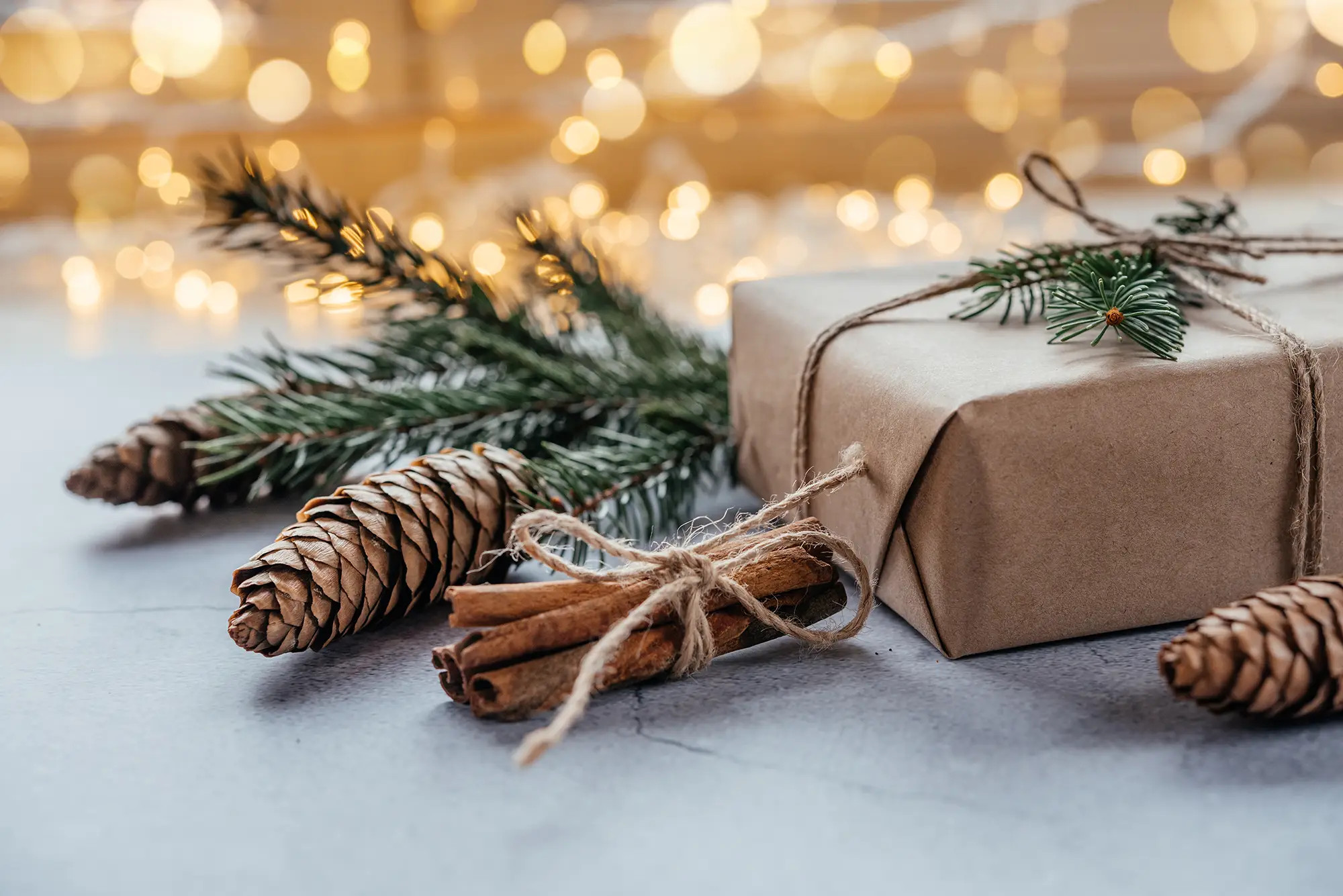8 Sustainable Christmas Tips - WABLU